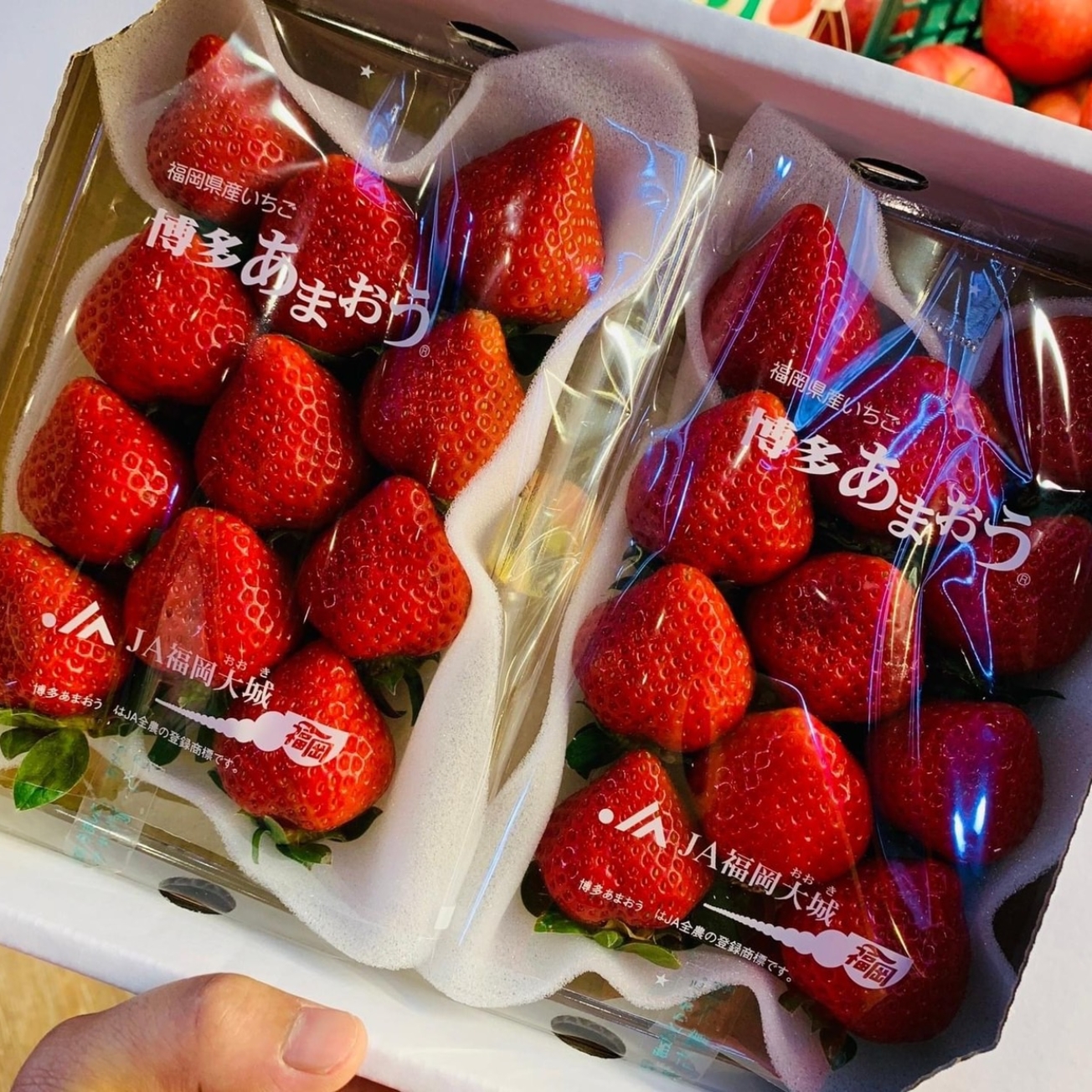 新鮮水果 - 東霖商行 DONG LIN FRUIT